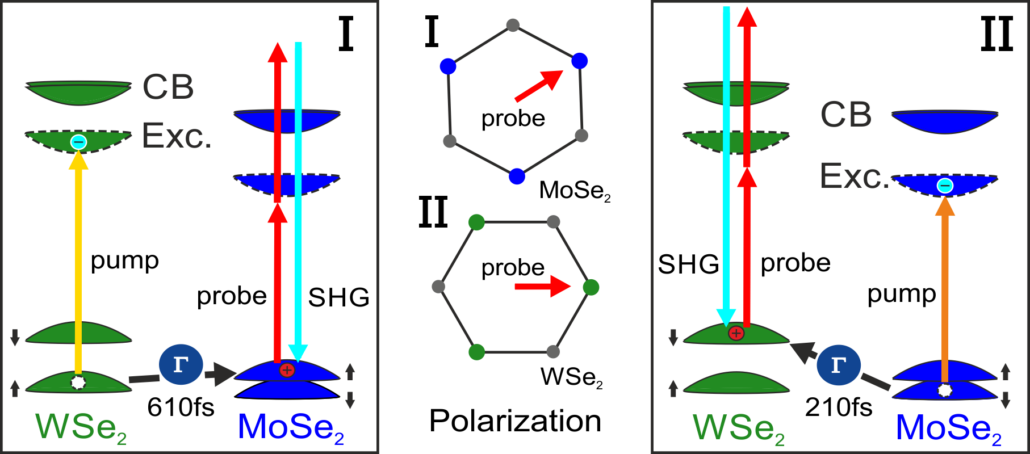 Directional ultrafast charge transfer in a TMDC heterostructure ...